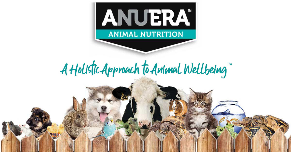 ANUERA Animal Nutrition | 100% Natural, Multifunctional Supplements ...