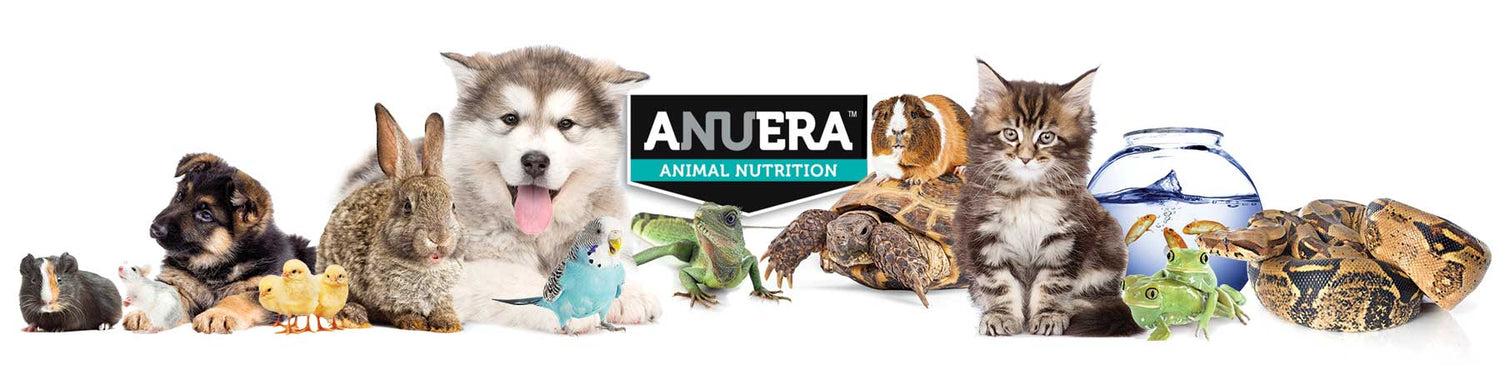ANUERA Animal Nutrition | 100% Natural, Multifunctional Supplements ...